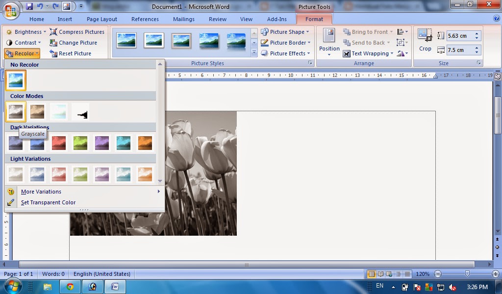 Cara membuat foto hitam putih pada microsoft word - grayscale picture ...