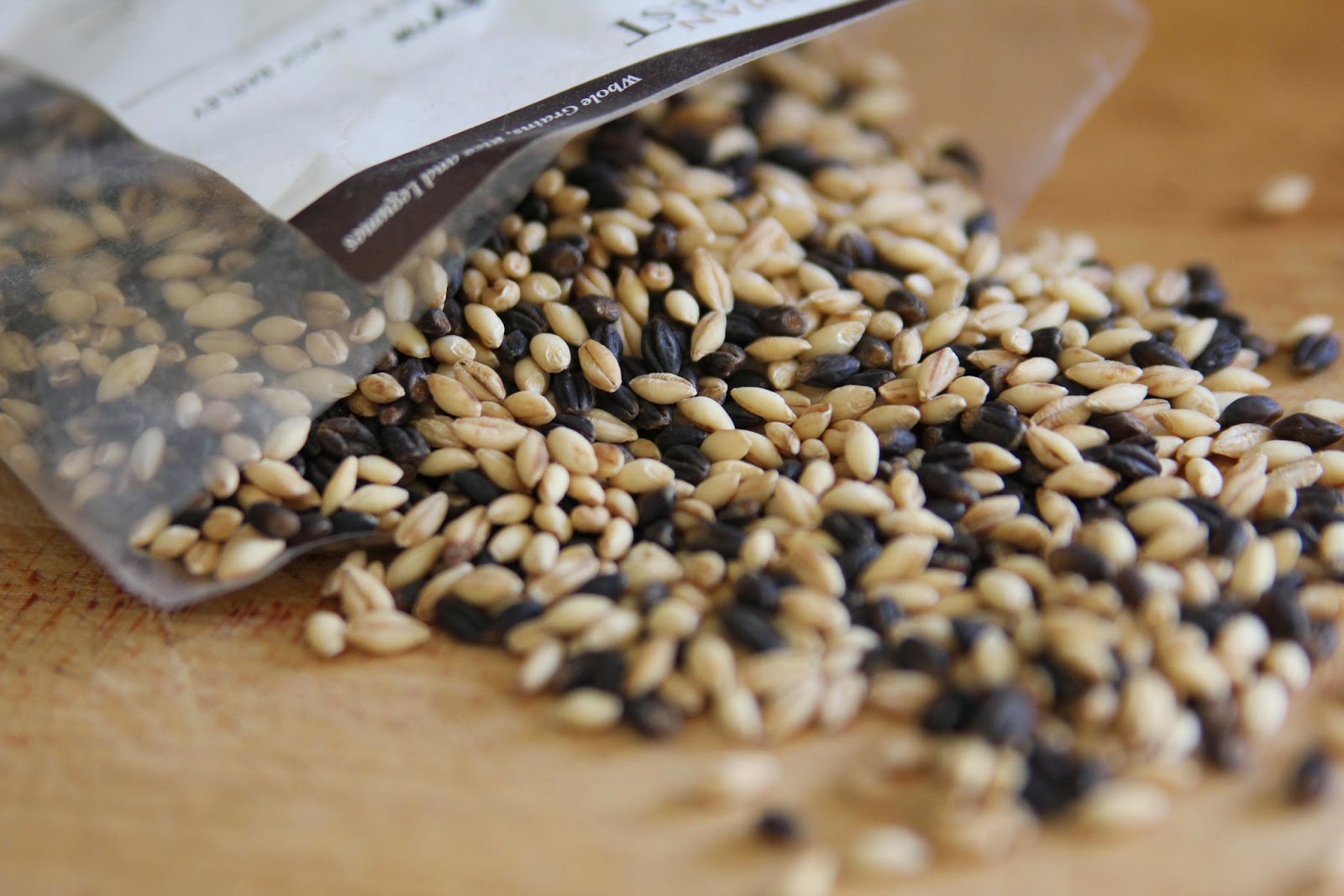 To Market, To Market with San Diego Foodstuff: Grilled Vegetable and ...