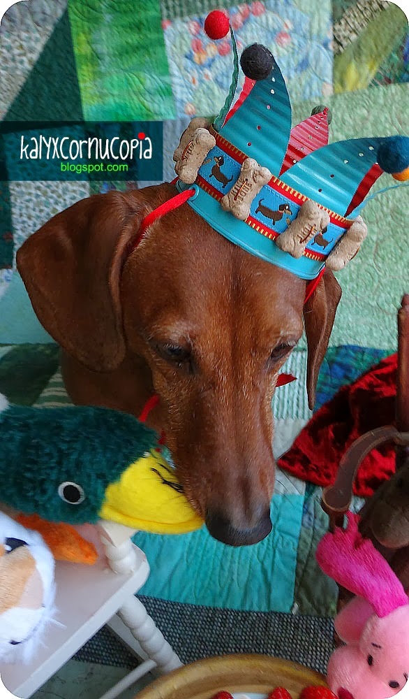 Kalyxcornucopia Today I Am Seven kalyxcornucopia-today-i-am-seven