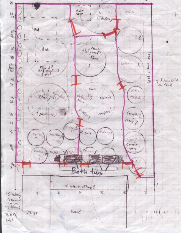 Rotating Chicken Paddocks - What a Relief! | Permaculture, Perennial ...