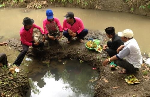 UNIKNYA MANTU KUCING, RITUAL MINTA HUJAN DI DESA GRAJAGAN BANYUWANGI