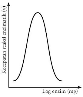 seputar kandungan: Faktor yang Mempengaruhi Kerja Enzim