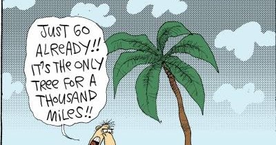 Gregory Palm Farms : Joke of the Day... Palm Tree Style from Gregory ...