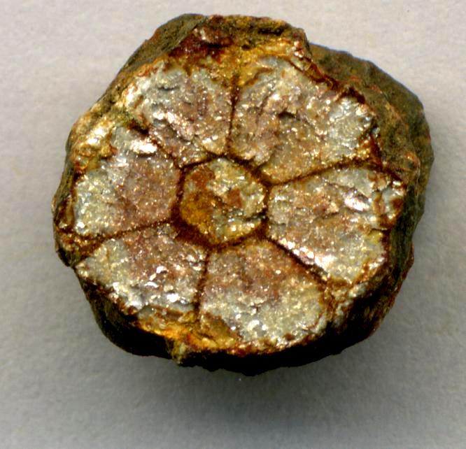 Cherry Blossom Stone Is a Natural Wonder (Photos) - Geology In