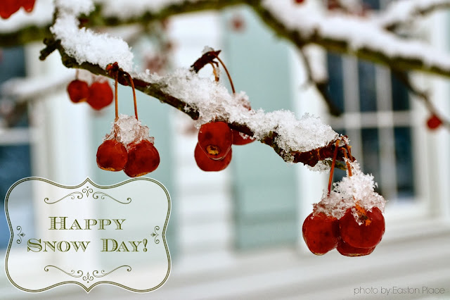 Easton Place Designs Blog: Happy Snow Day