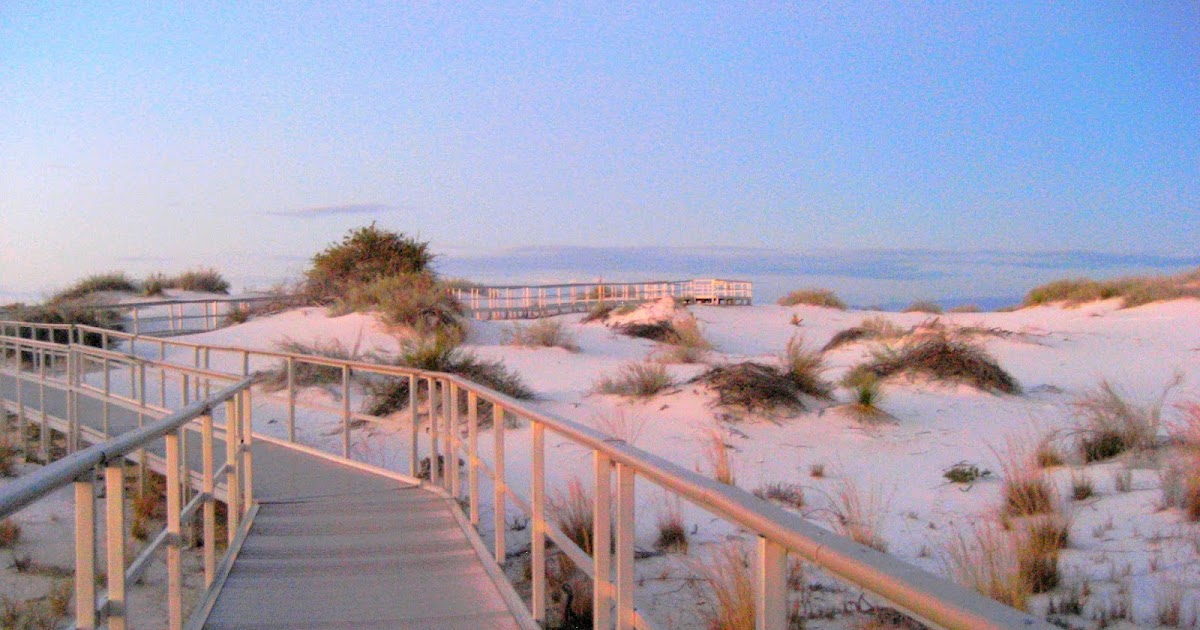 Living Rootless: Tucson Lit: High Tide in Tucson