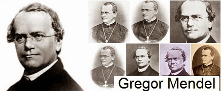 Biolearnspot: Gregor Johann Mendel