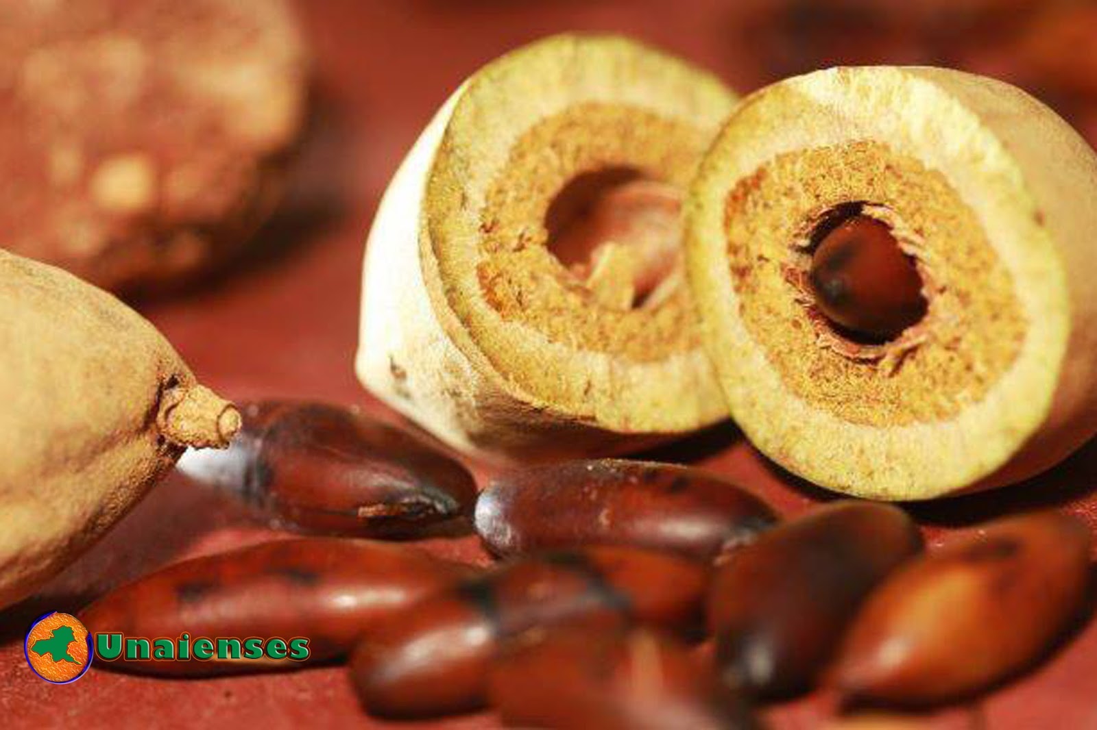 Unaienses: Baru - O Viagra do Cerrado