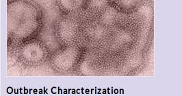 Avian Flu Diary: Eurosurveillance: Severe acute respiratory infection ...