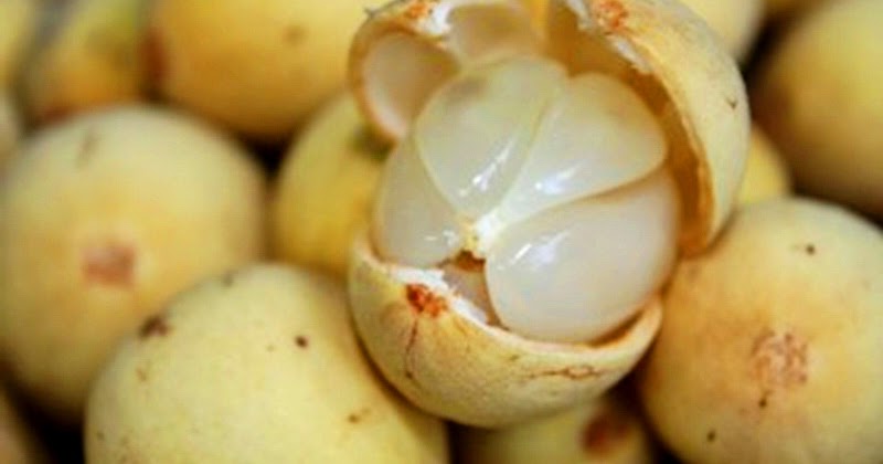 Duku Fruit for Health Benefits