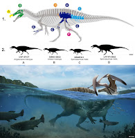 Species New to Science: [Paleontology • 2018] Semi-aquatic Adaptations ...
