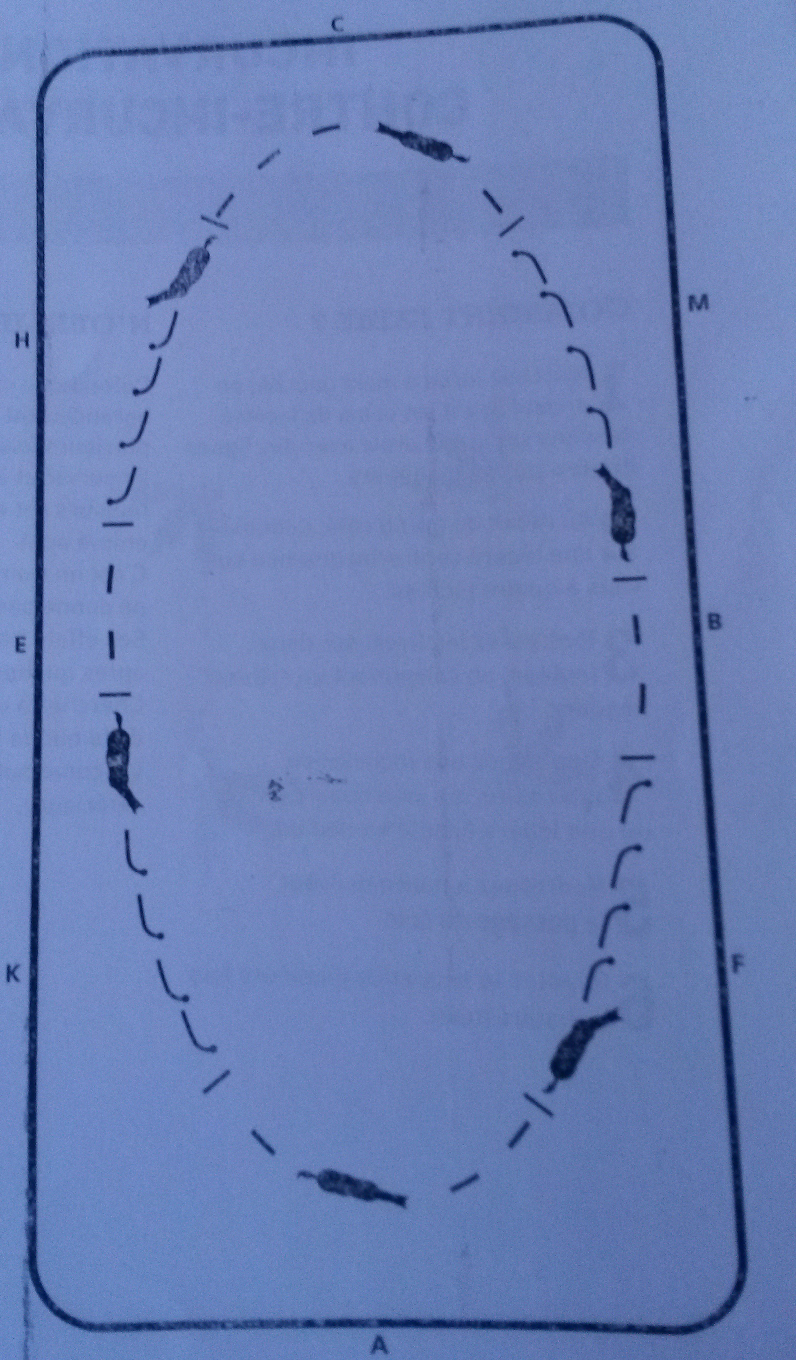 Assouplissements : INCURVATION? CONTRE INCURVATION ~ cours equitation