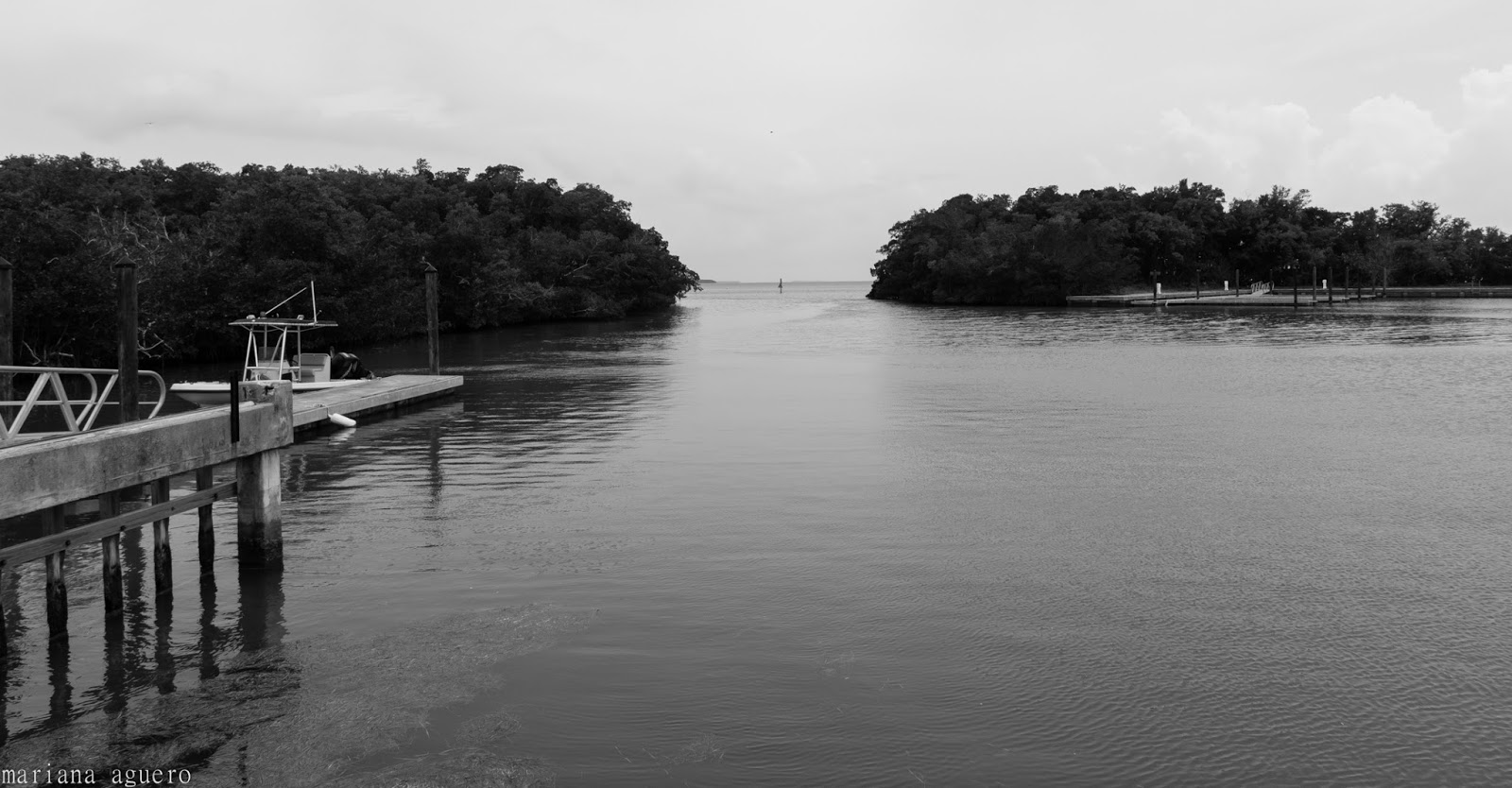 Palabras - Marco Martinez: La isla imaginada