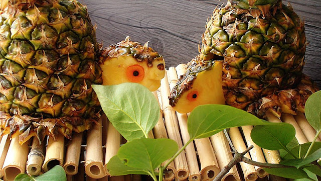 Josephine's Recipes: How To Make Pineapple Turtles | Fruit Carving ...