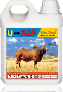 Oreza Serum U-SAP ( Urin Sapi ) HERBISIDA | Sumber Organik