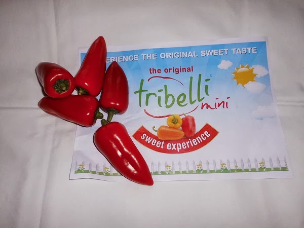 TRIBELLI MINI