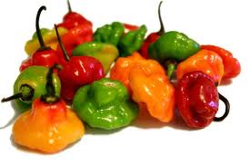 Flores y Especias de mi Jardín: Ají Dulce, (Capsicum chinense)