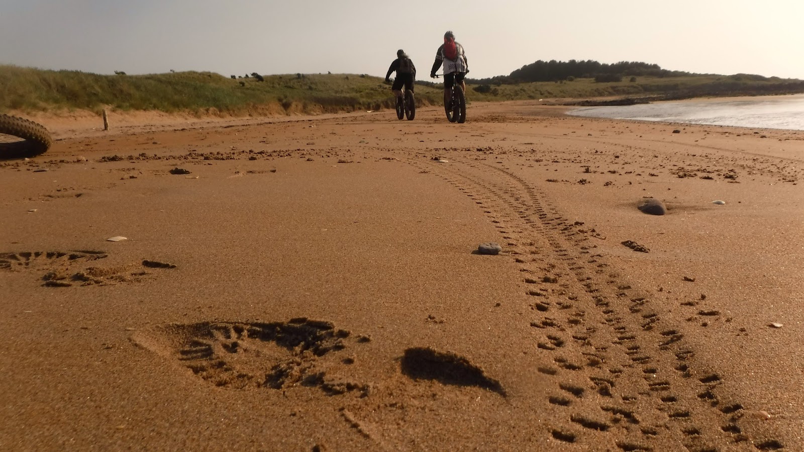 coastrider: Surly Wednesday update...