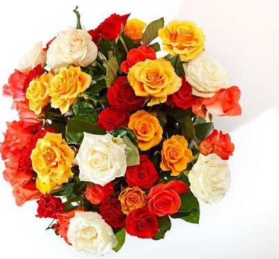 Best Flowers In The World: 02/20/12