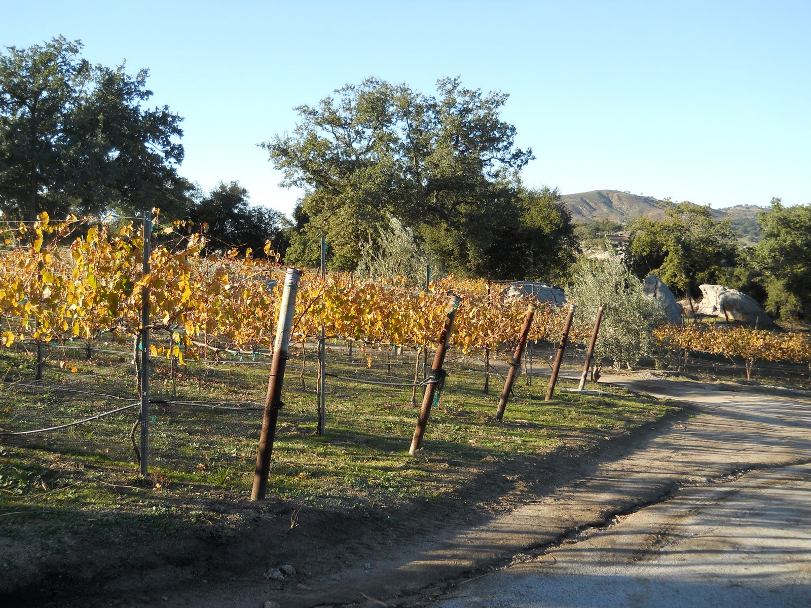 Appellation SoCal: MILAGRO FARM VINEYARDS AND WINERY