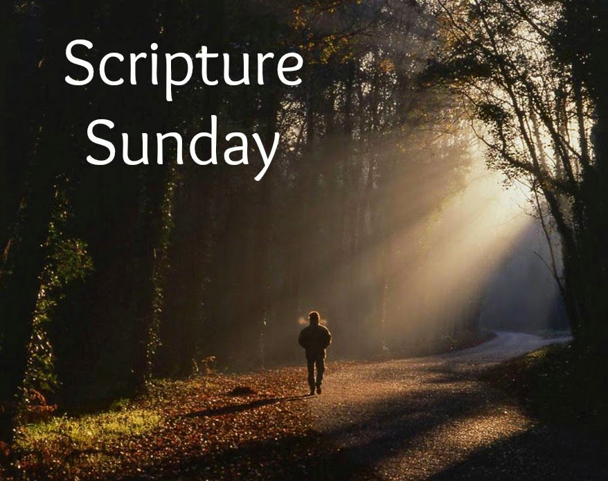 Families Again: God Will Go Before Us -Scripture Sunday!