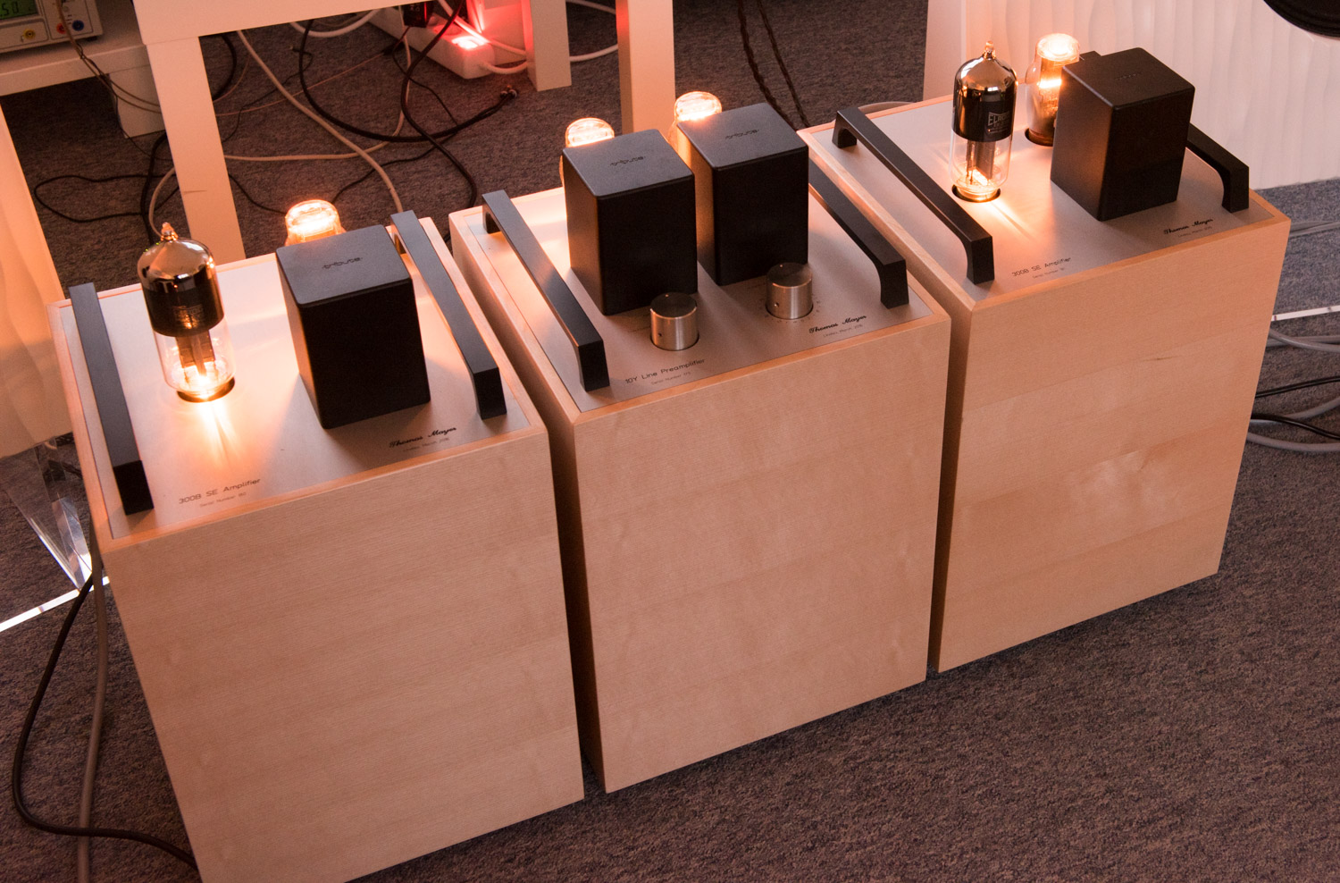 VinylSavor: 300B Mono Blocks in Tower Style