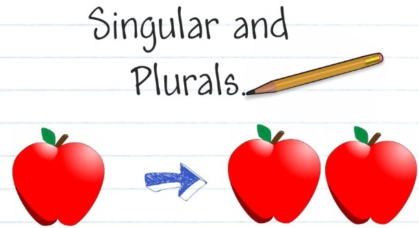 Lesson Lesson Conception Of Plurals English Assort 3 | Learning And Doing