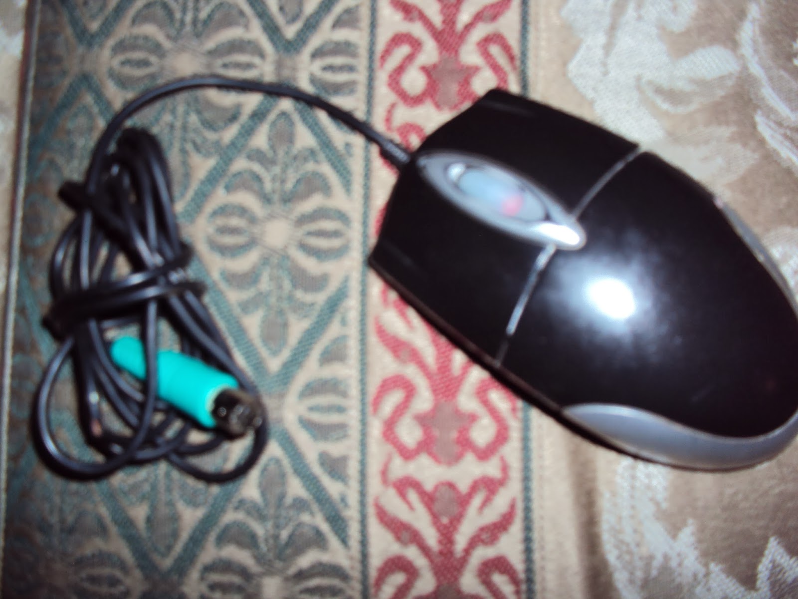 Blog de Eduardo Méndez: ANÁLISIS MORFOLÓGICO DE UN MOUSE