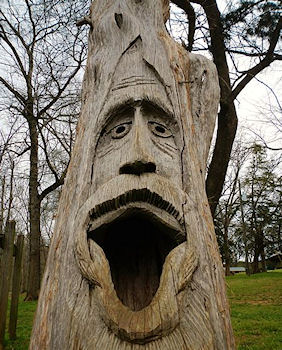The Presurfer: Carving Dead Trees Into Public Art