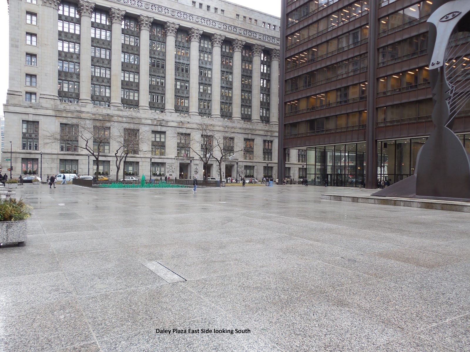 Illinois Worldwide Lyme Disease Awareness Protest: Daley Center Pictures