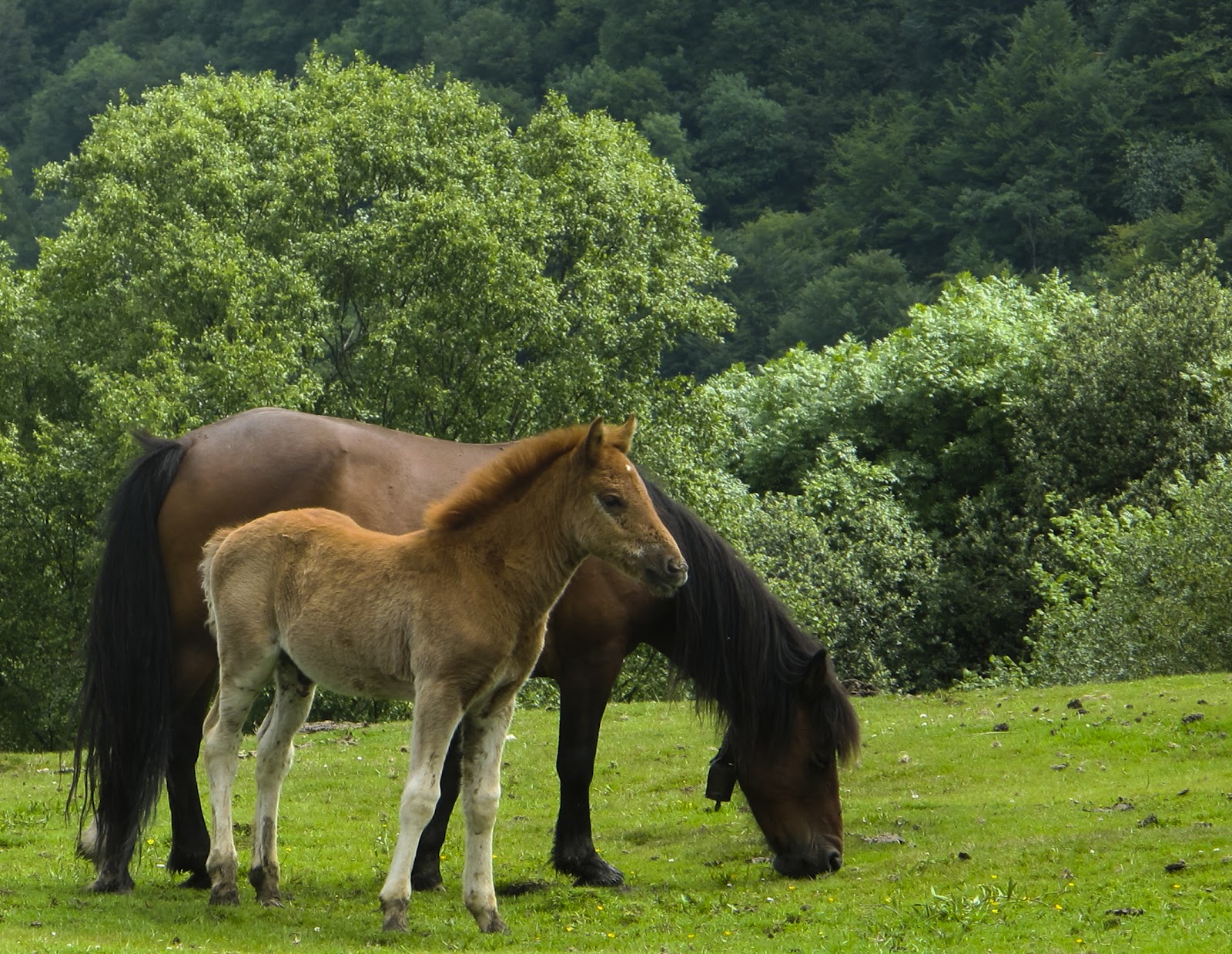 mirando a través de un cristal: 5/2/12