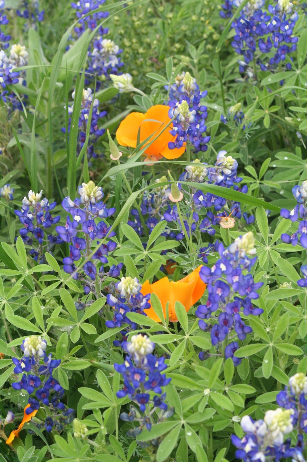 My comings and goings...