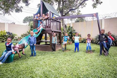 We've found the toddler tree school!