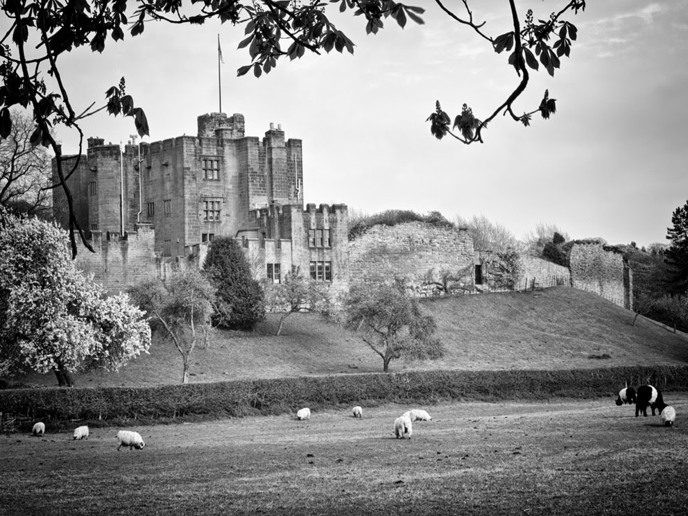 John Barnes - Cheviot Walker: Bothal Castle and St Andrew's Church ...