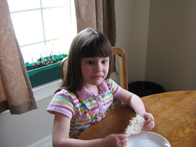 Almost Unschoolers: Matzah Bread a la The Little Red Hen
