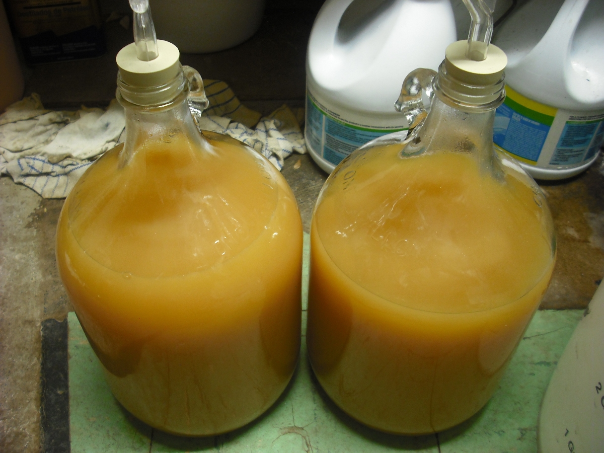 Gold Standard Brewery: November 2011