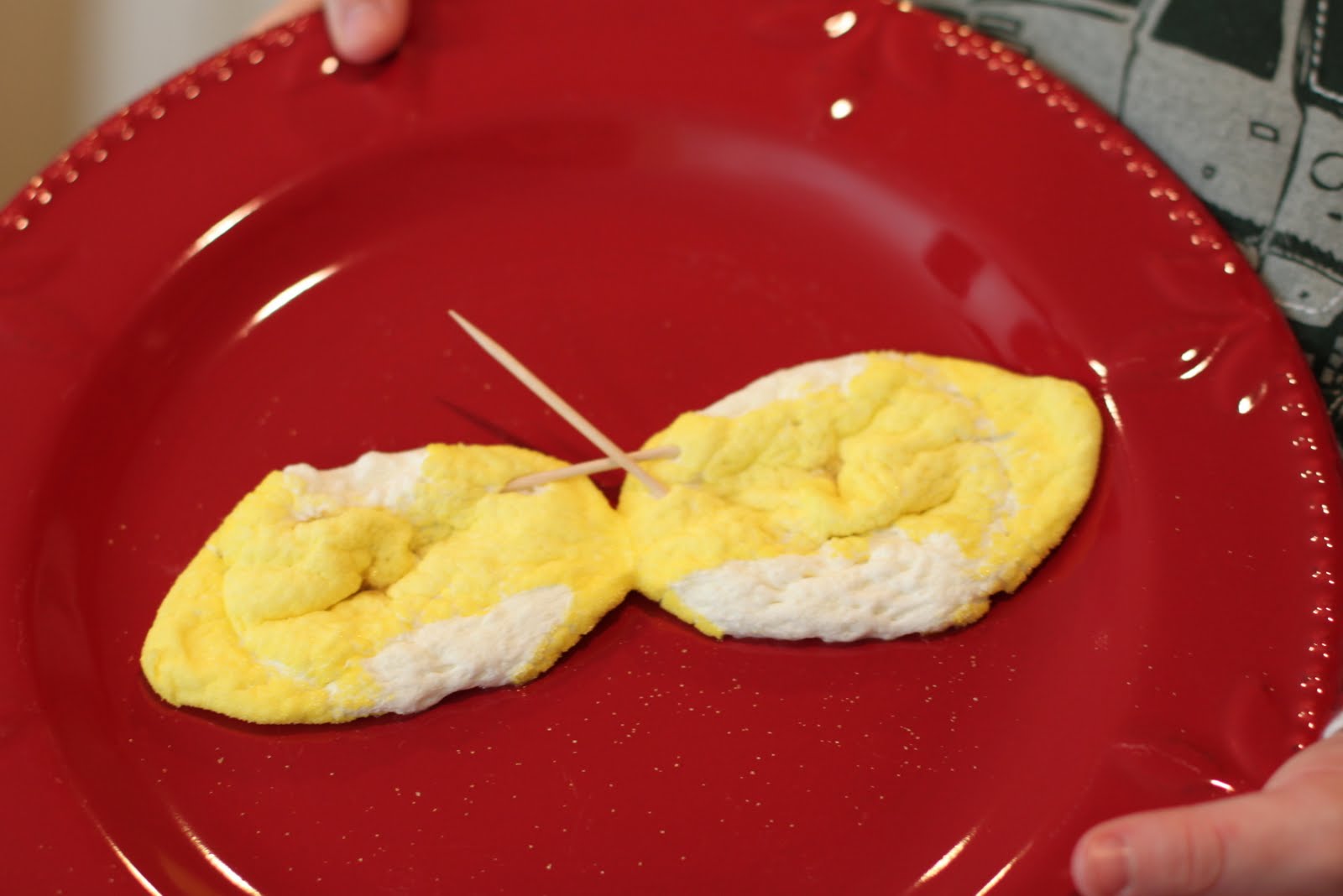 What I Made Today: TUTORIAL: Peep Jousting