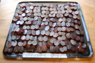 Dehydrating Way Beyond Jerky: Homemade Raisins What Could Be Easier?