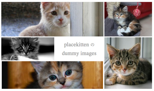 Macな小心者のタウンロード: Webページ作成の際のダミー画像を可愛らしい子猫にしてくれるwebサービスplacekittenを試してみた。