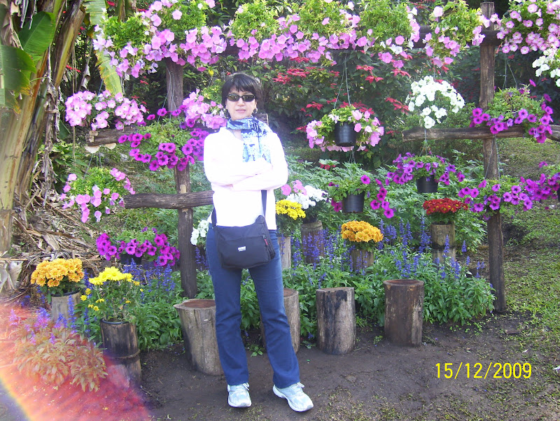 Our Travel Adventures: 2009 - Bangkok, Chiangmai, Chiangrai,Thailand