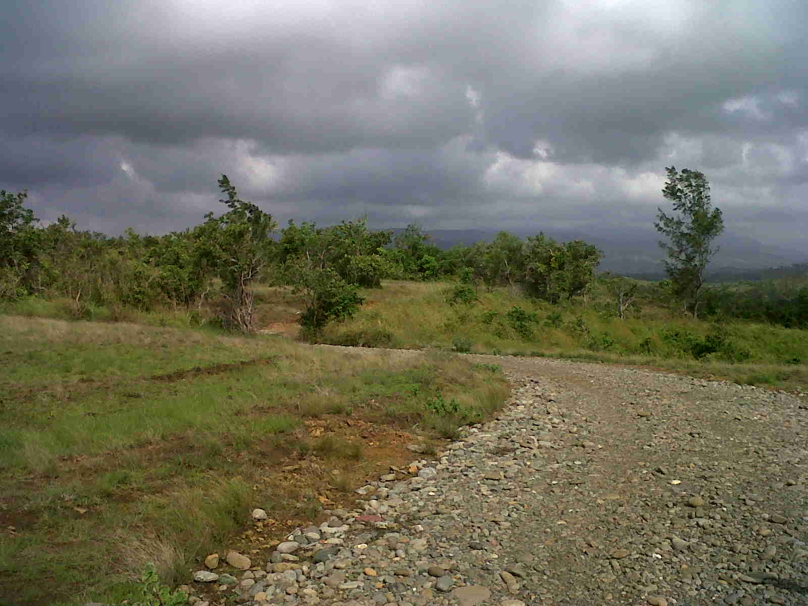 DIWATA: Kabundukan....Pano ba kita matutulungan