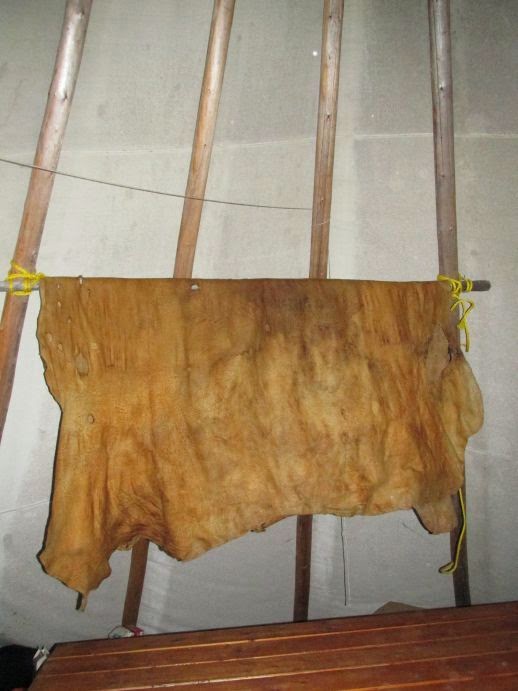 Gone To Smell the Roses: Traditional Moose Hide Tanning - Part 2