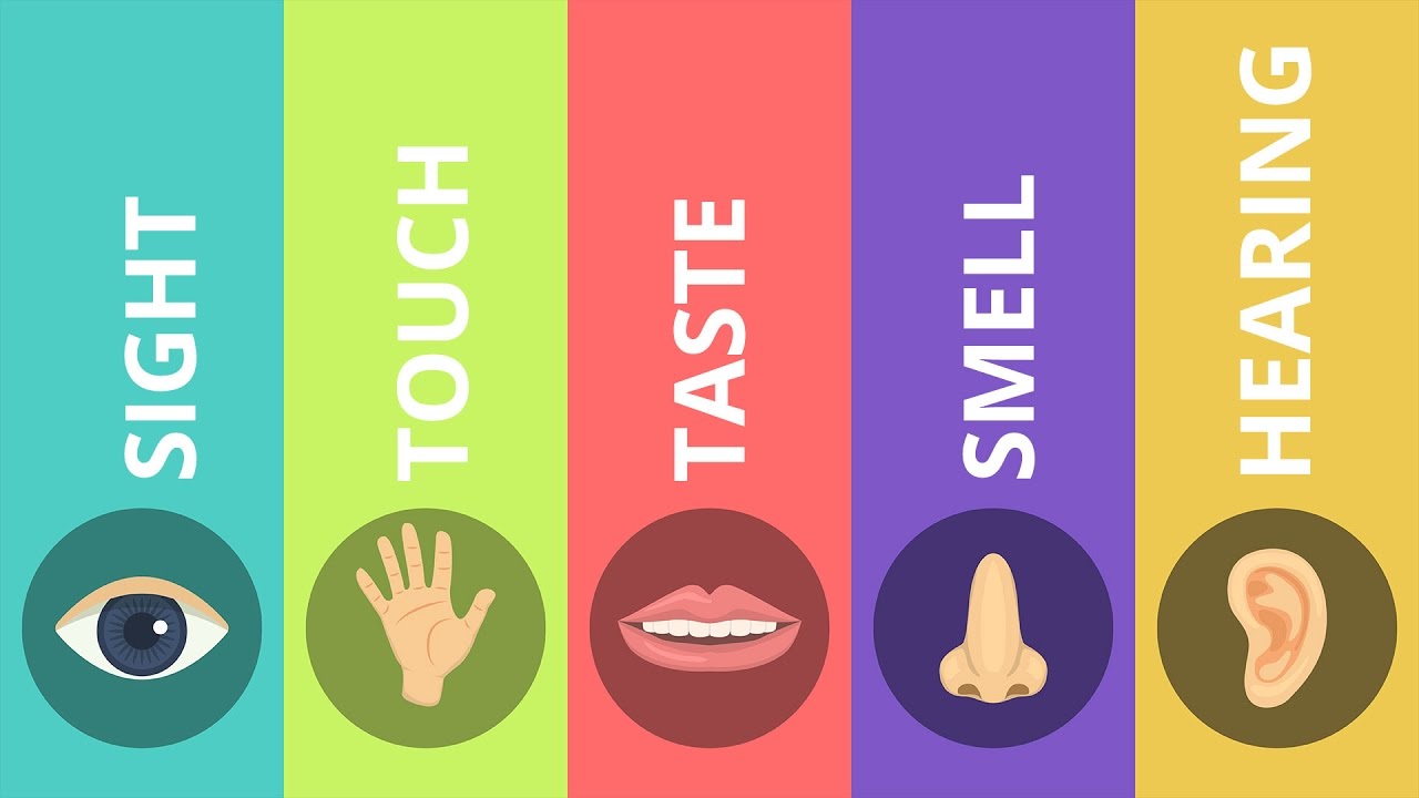 Every Day Is Special: April 28 - National Sense of Smell Day