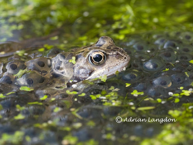 images-naturally!: January 2012