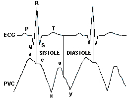EXPLORACIÓN SEMIOLÓGICA DE PULSO Y PRESIÓN VENOSA