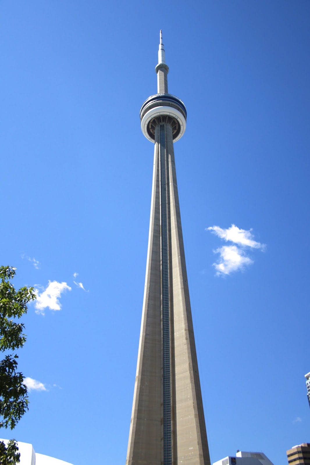 Raising Alfie: Postcard from CN Tower, Toronto