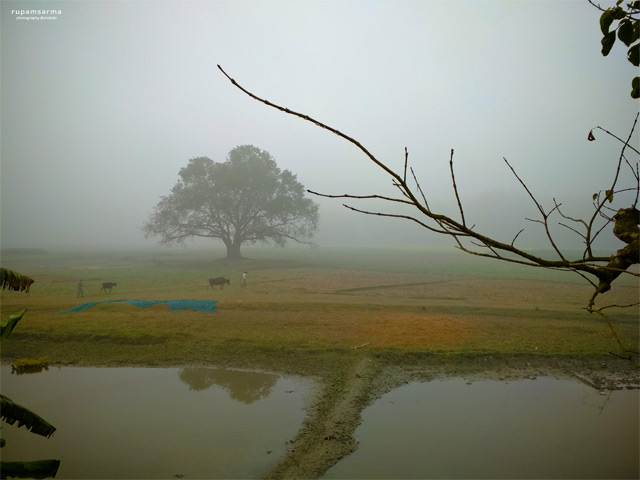 rupam sarma { xhobdo }: Postcard from Assam