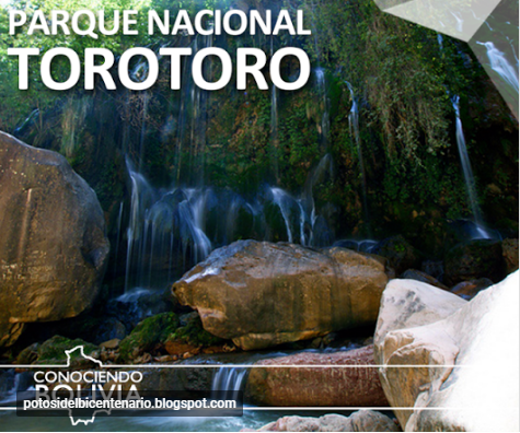 Potosi : Destinos turisticos Parque Nacional Toro Toro