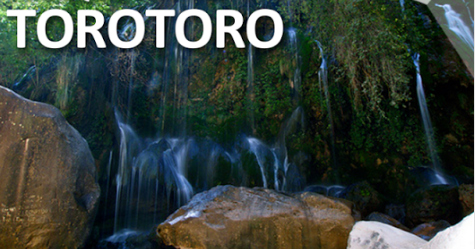 Potosi : Destinos turisticos Parque Nacional Toro Toro