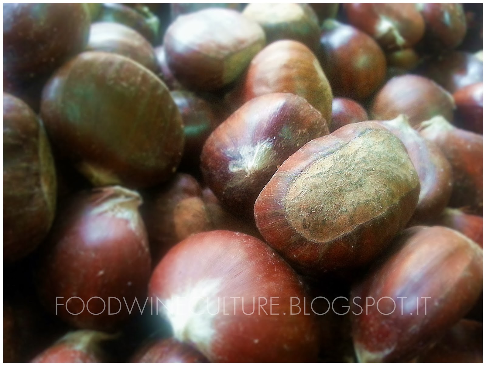 Food Wine & Culture: Ortofrutticola di Schenone - Rapallo